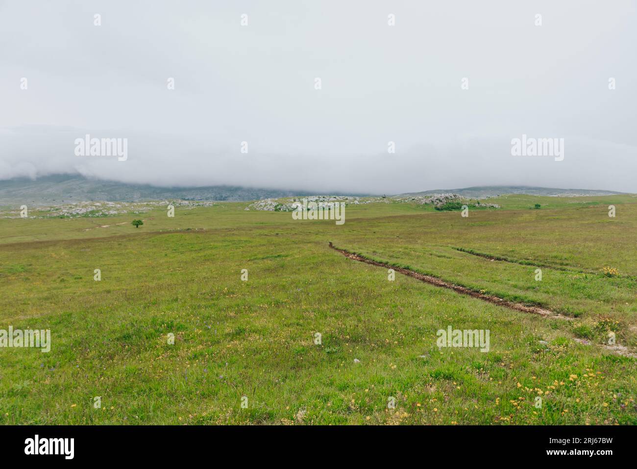 A sweeping landscape of lush, verdant countryside punctuated with small ...