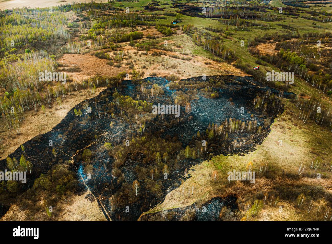 Wild Open Fire Destroys Grass. Natural Disaster. Concept Of Save Nature ...