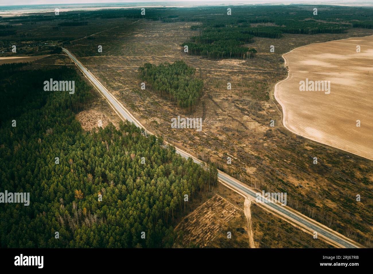 Uncontrolled deforestation hi-res stock photography and images - Alamy