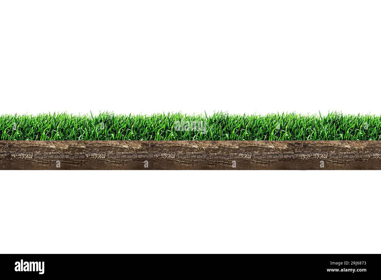 grass patch isolated on white background 3d illustration Stock Photo ...