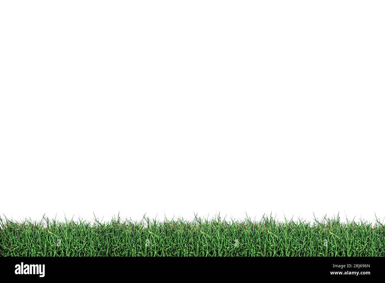 grass patch isolated on white background 3d illustration Stock Photo ...