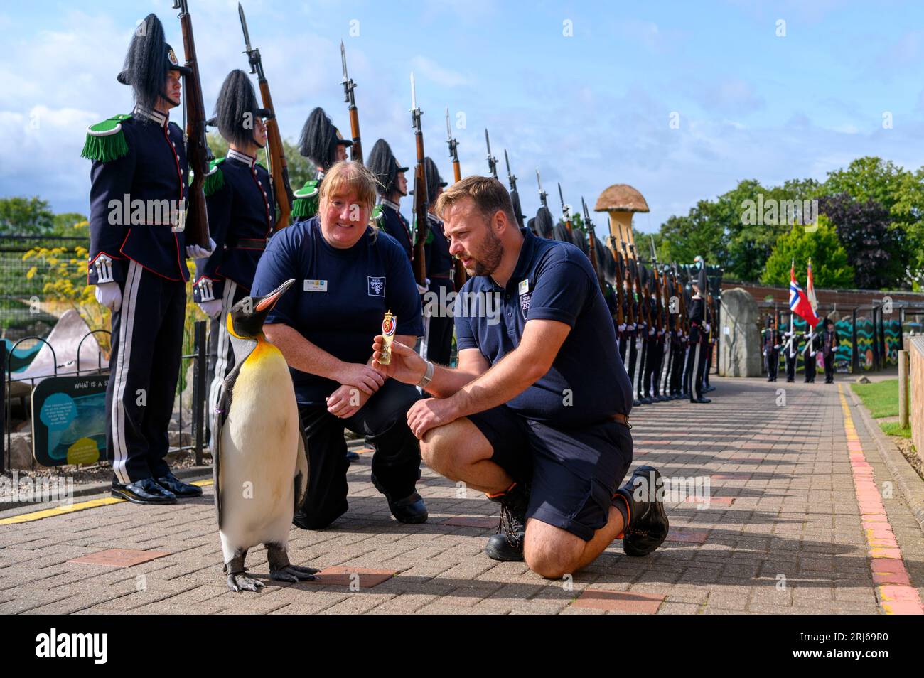 King penguin, Sir Nils Olav receives his award from Edinburgh Zoo ...