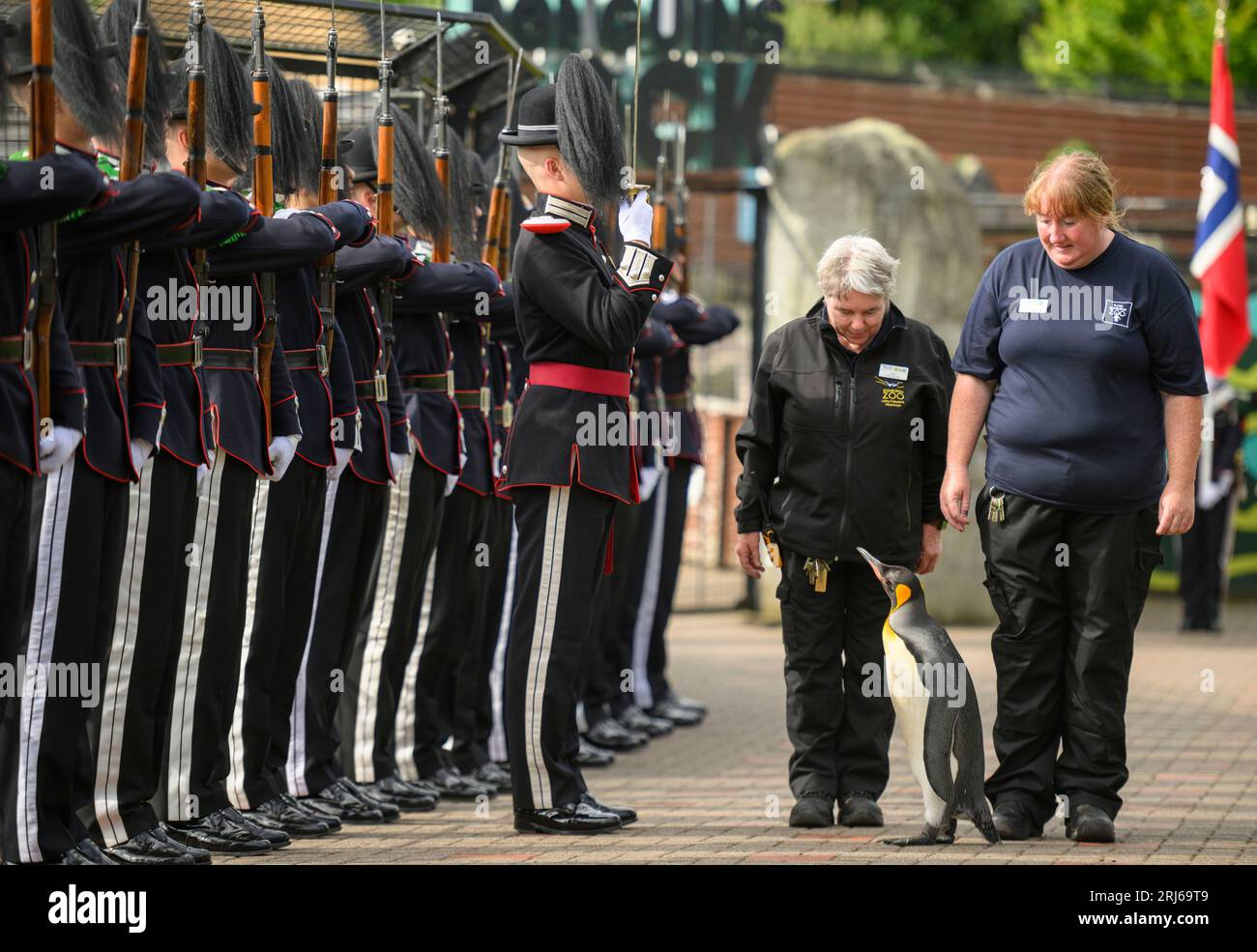 King penguin, Sir Nils Olav inspects a Guard of Honour with Edinburgh ...