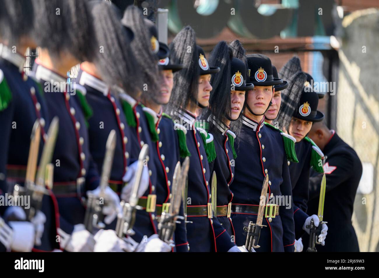 The King's Guard Band and Drill Team of Norway during a ceremony at ...