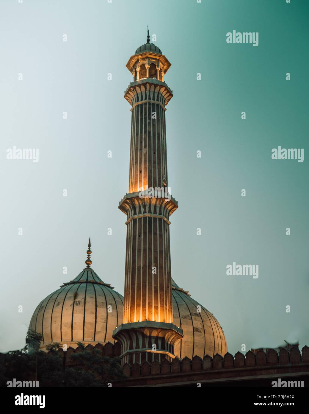 The Delhi Cathedral Mosque in India with intricate architectural ...