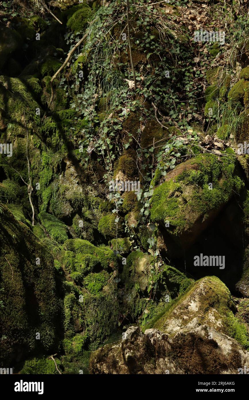 Serene landscape featuring variety hi-res stock photography and images ...