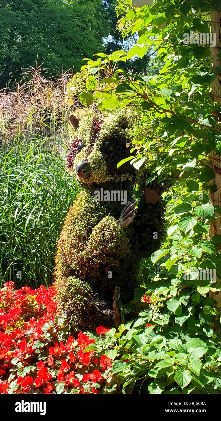 A vertical view of an adorable raccoon flower statue in the Montreal ...