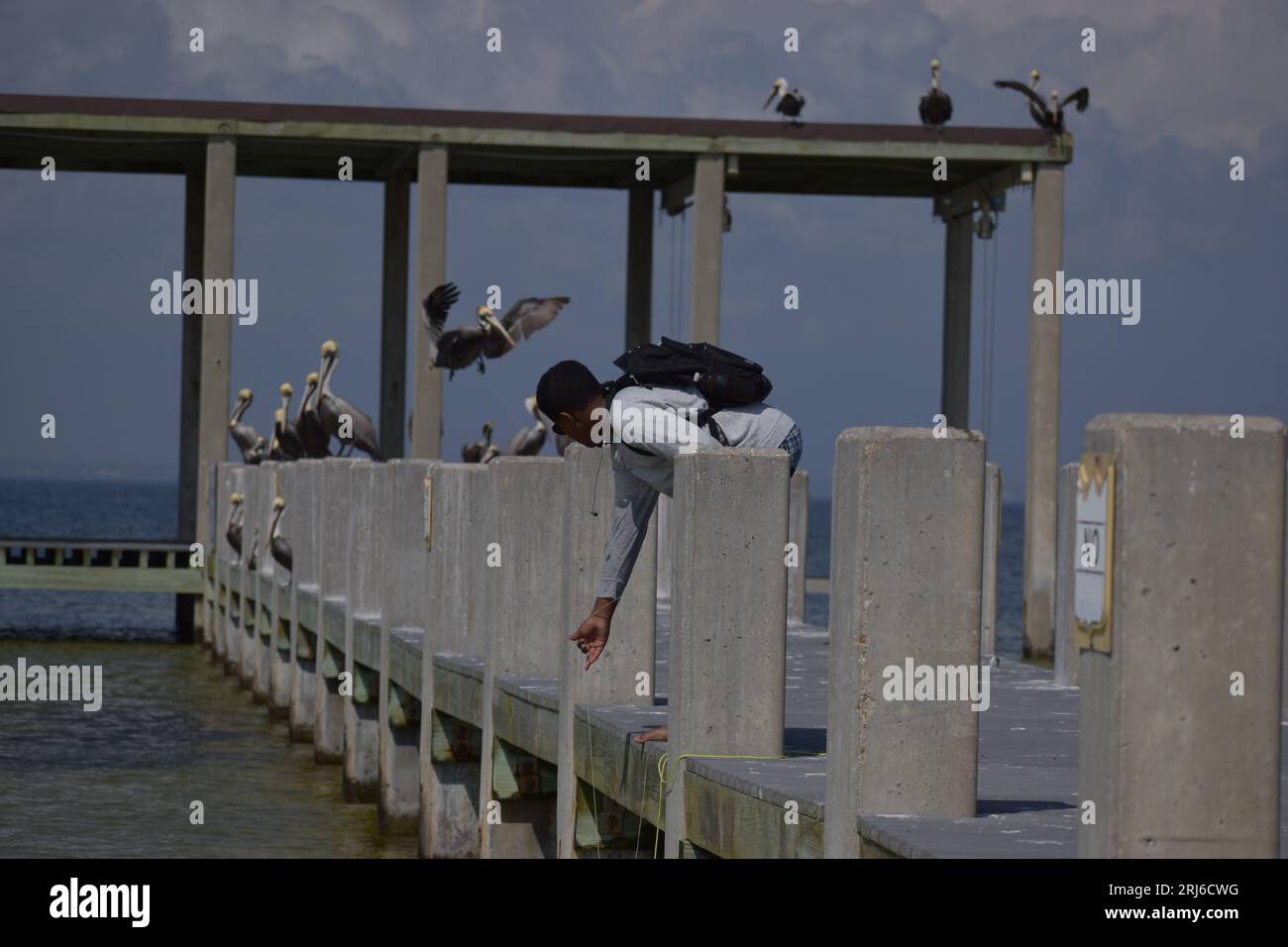 Person and birds hi-res stock photography and images - Alamy