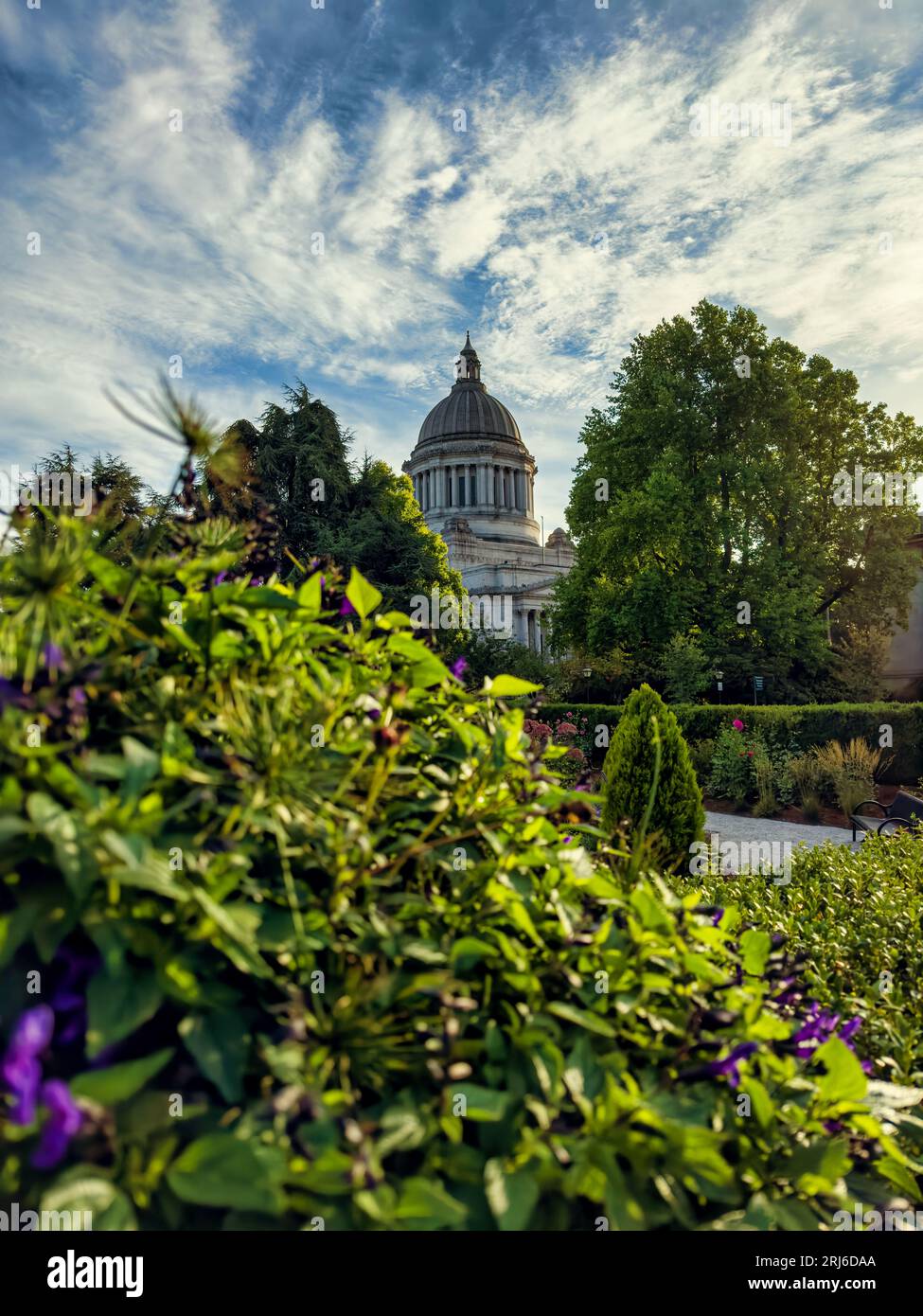 The Washington State Capitol with lush green foliage surrounding it ...