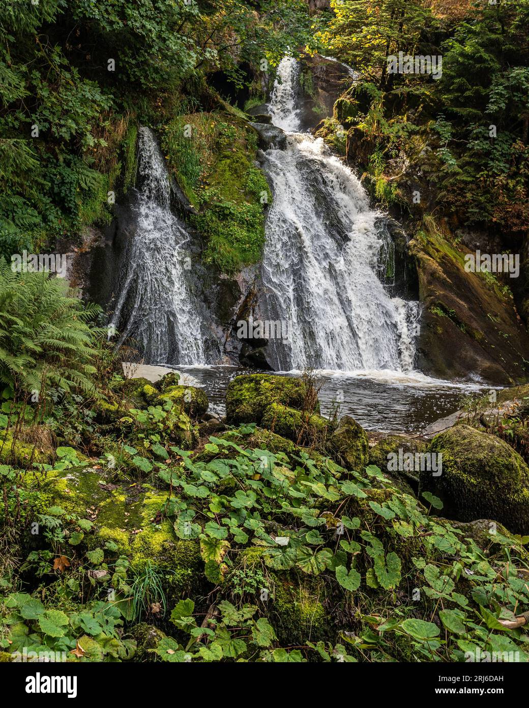 A picturesque view of Triberg Waterfalls in Germany's Black Forest ...