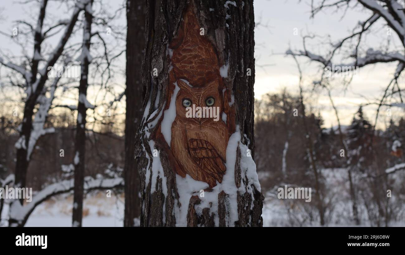 A brown wood-stained owl carved into the bark of a tree in a snowy ...
