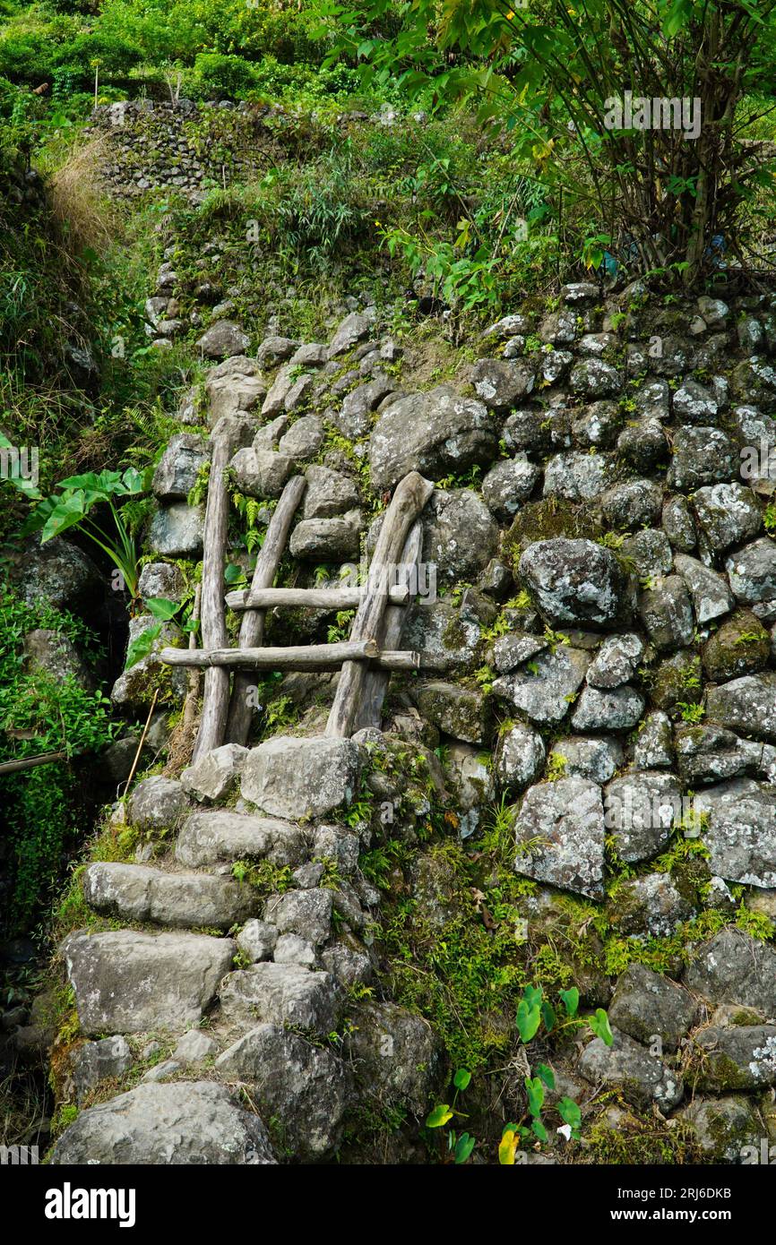 An aged wooden ladder stands against a rustic stone wall leading to a ...