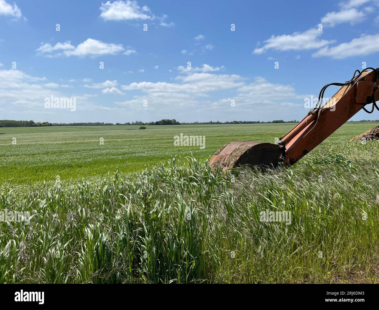 A yellow bulldozer pushing its blade through a field of tall grass on a ...
