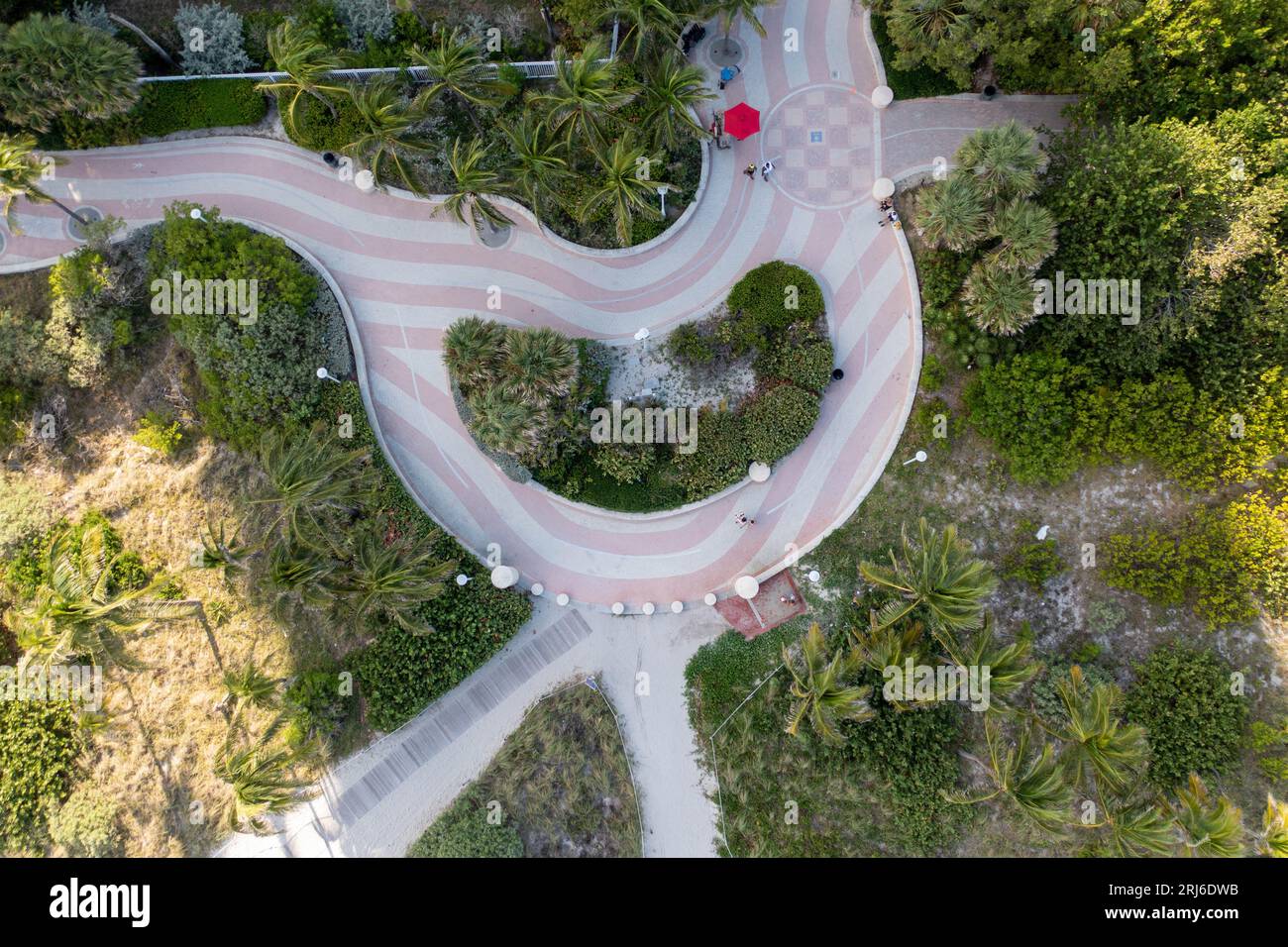 An aerial view of the Miami Beach boardwalk surrounded by lush trees ...