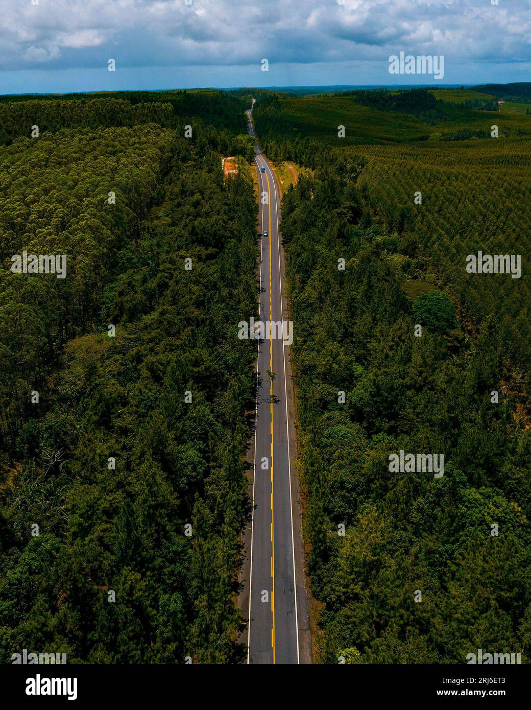 An aerial view of a winding highway cutting through a lush green ...