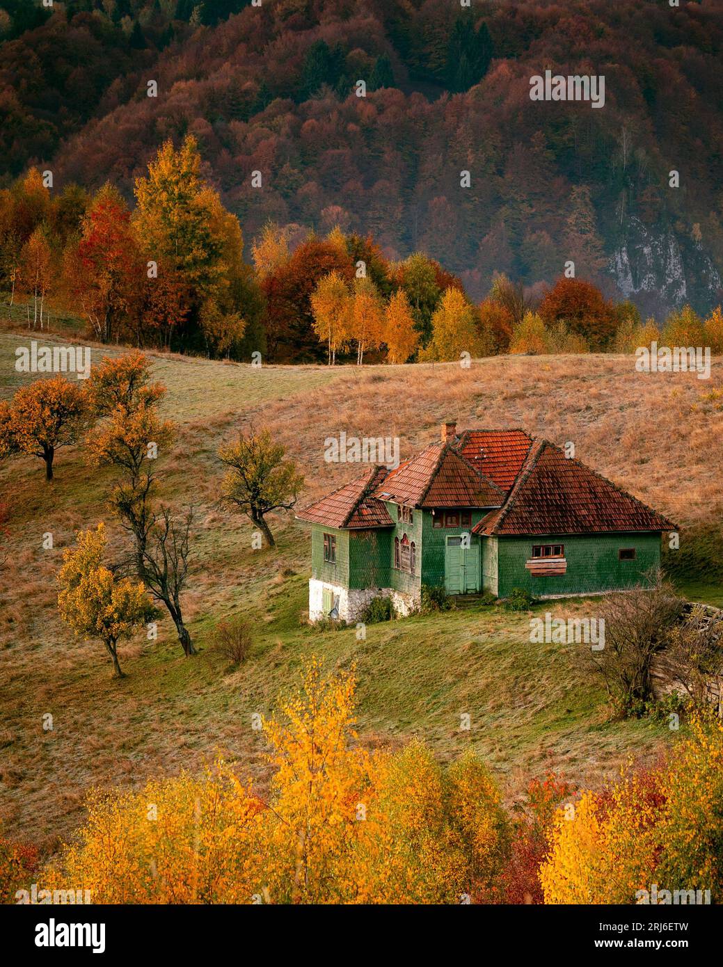A traditional old house amongst a vibrant array of autumn trees ...