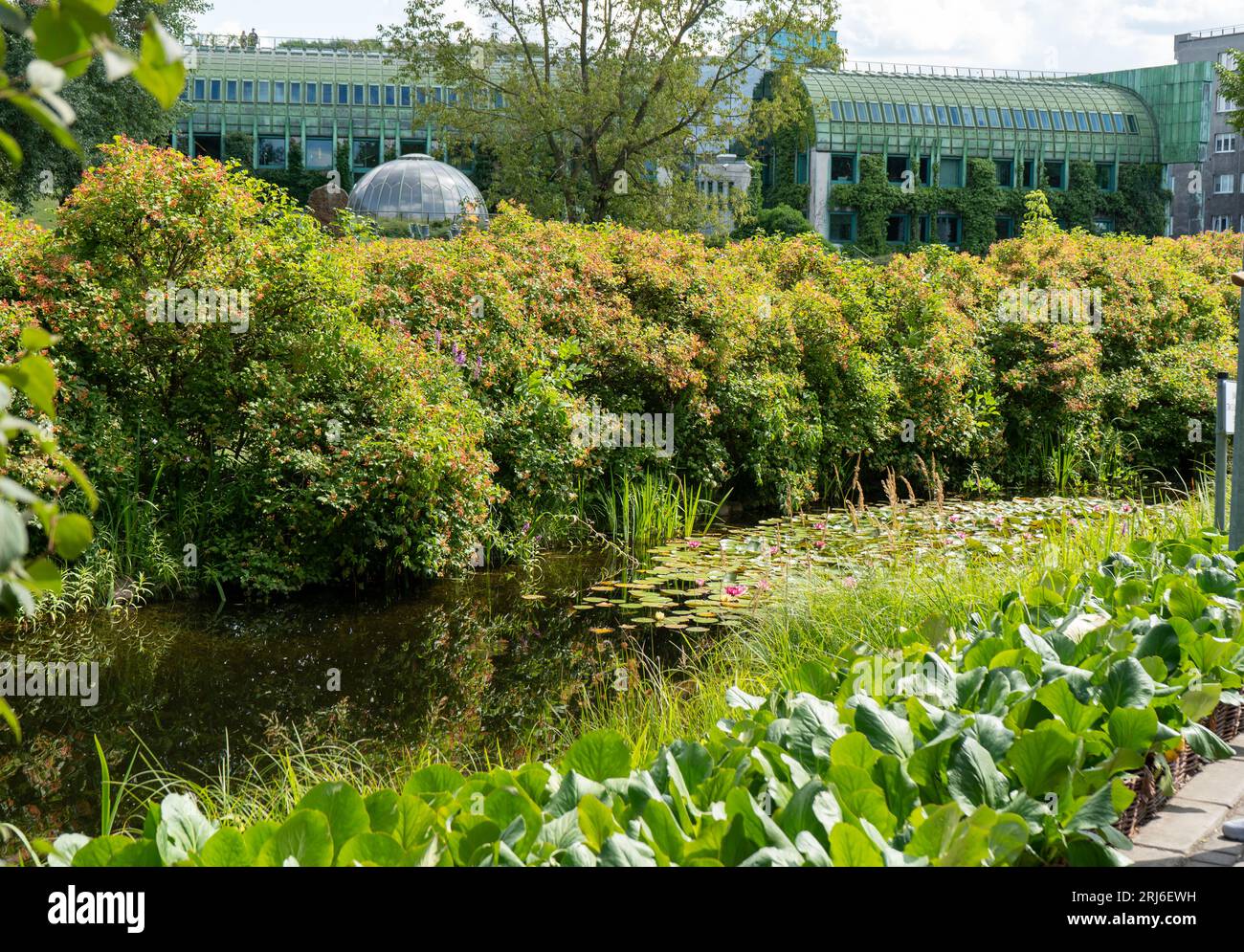 Botanical garden on the roof. Library of Warsaw University. Polish ...