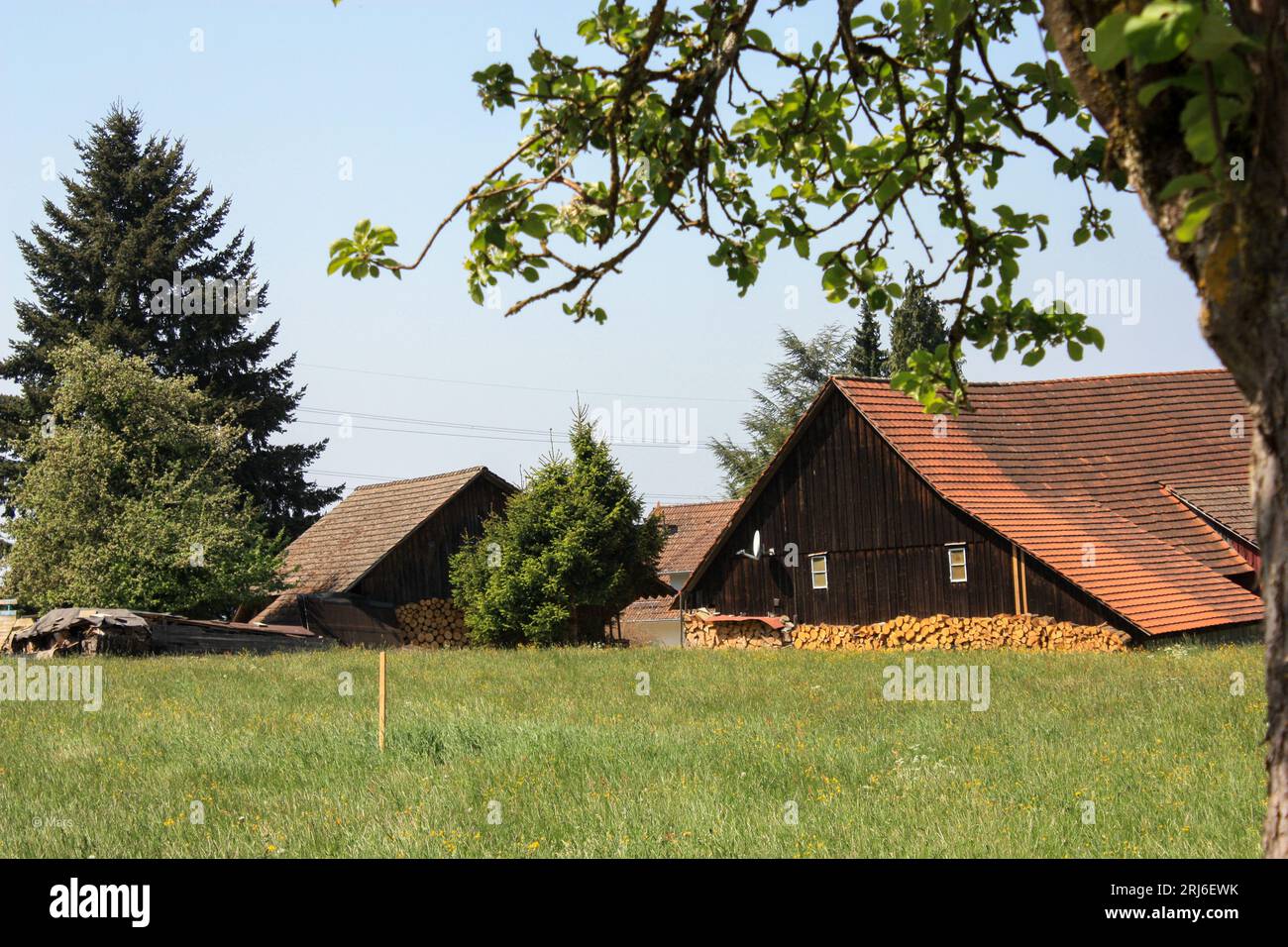 A scenic view of multiple wooden cabins nestled in a grassy field ...