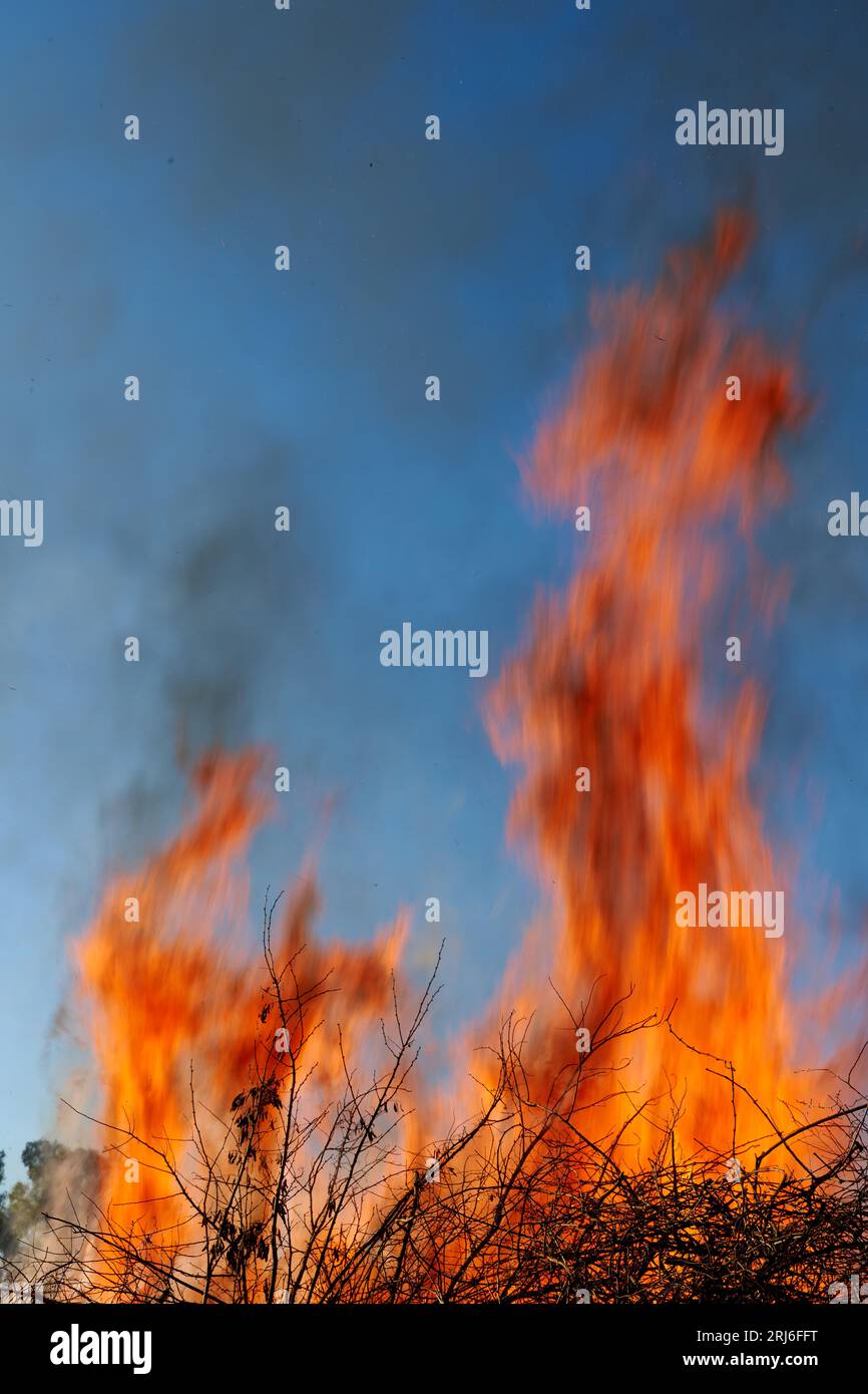 Flames from intense fire reaching into a clear blue sky. Motion blur of ...