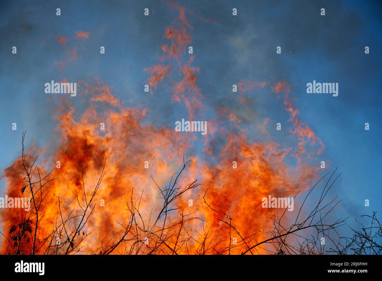 Flames from intense fire reaching into a clear blue sky Stock Photo - Alamy