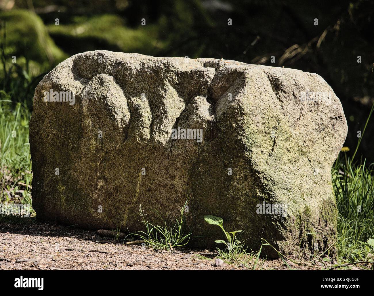 A large rock in sunlight surrounded by green vegetation Stock Photo - Alamy