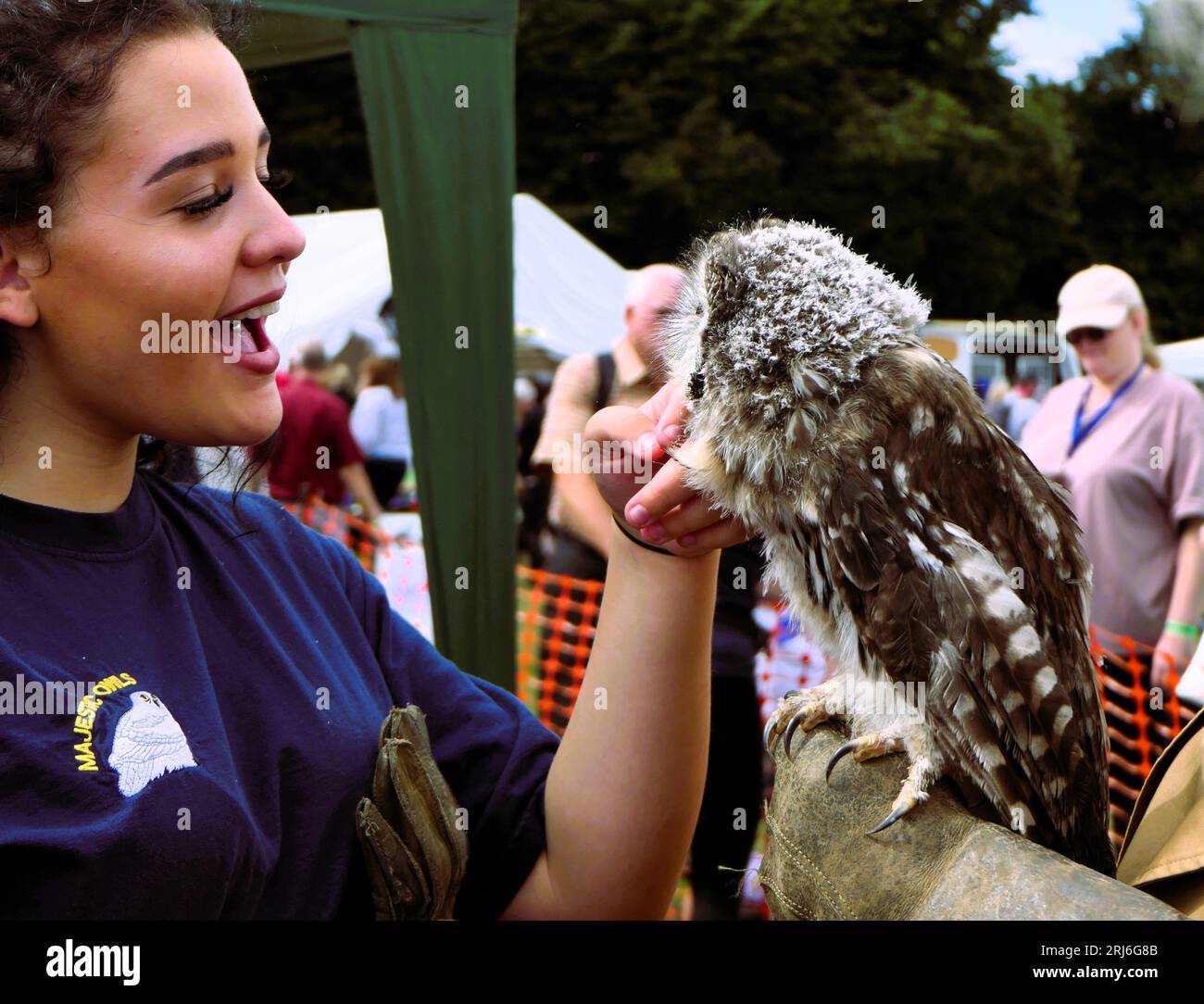 Majestic Owls leek at Ashbourne Show, UK Stock Photo - Alamy