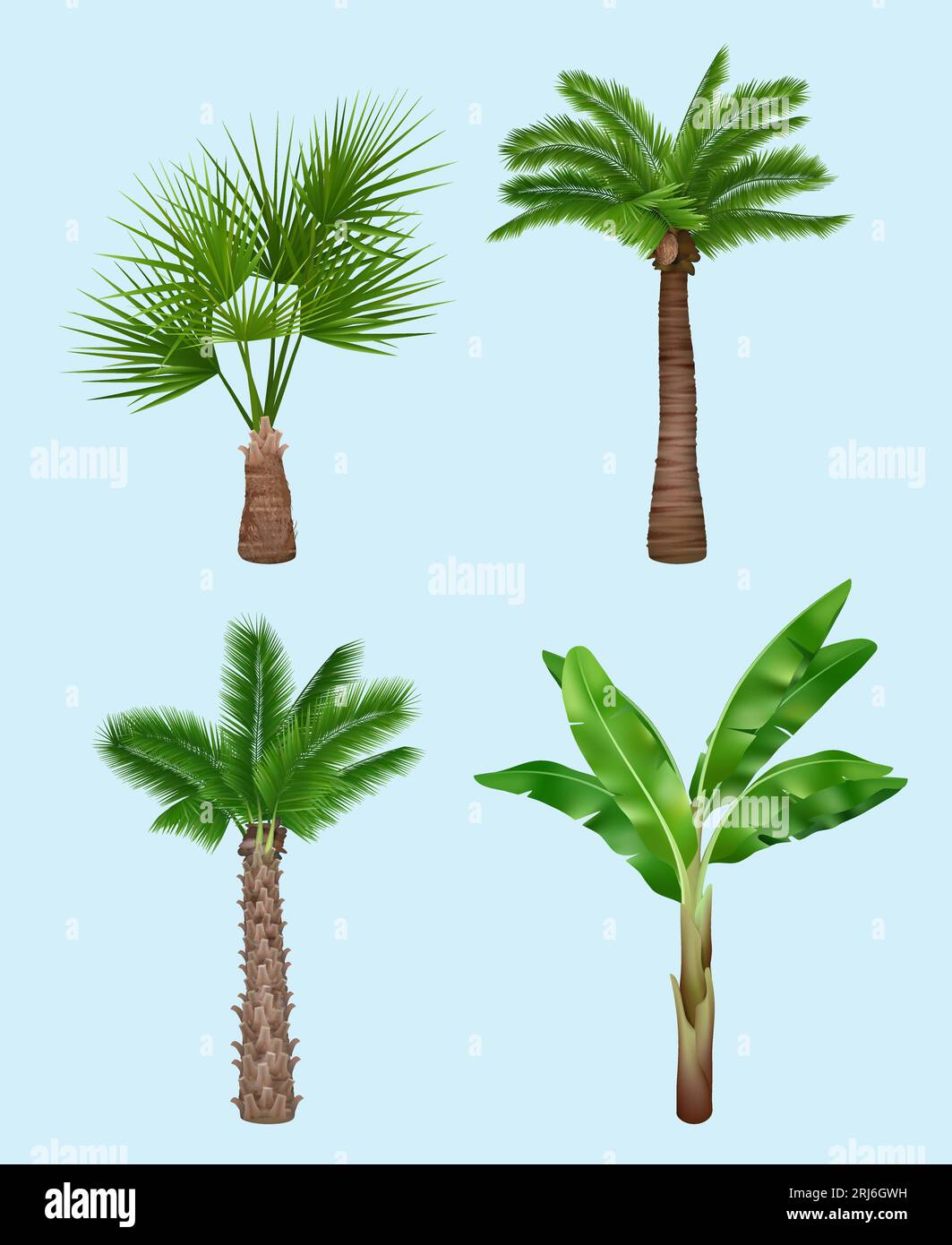 Tree realistic hi-res stock photography and images - Alamy