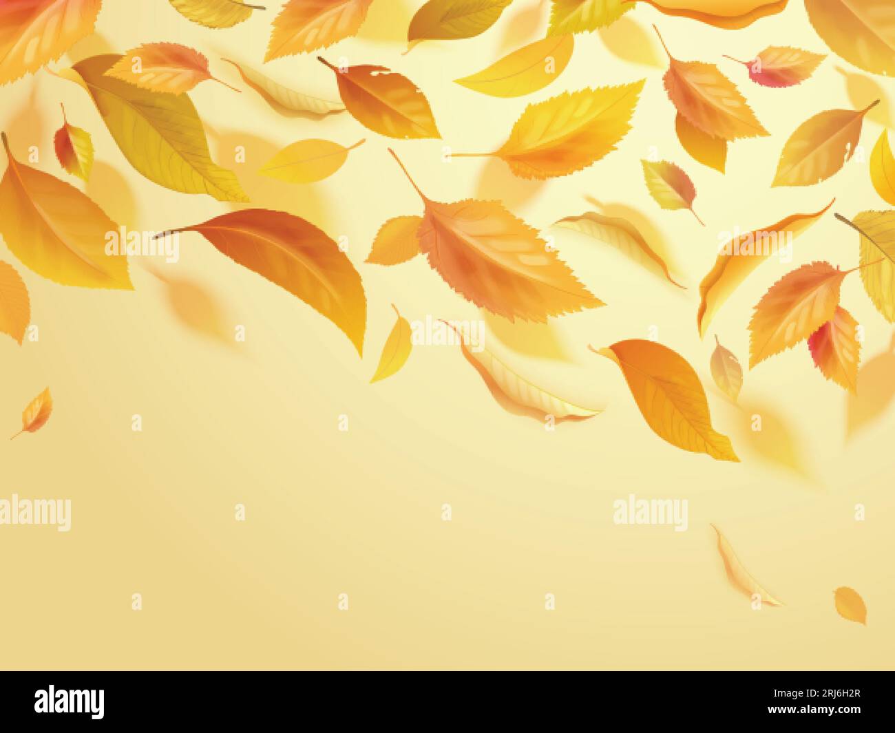 Seasonal winds Stock Vector Images - Alamy