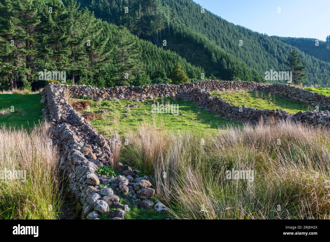 Otaki area hi-res stock photography and images - Alamy