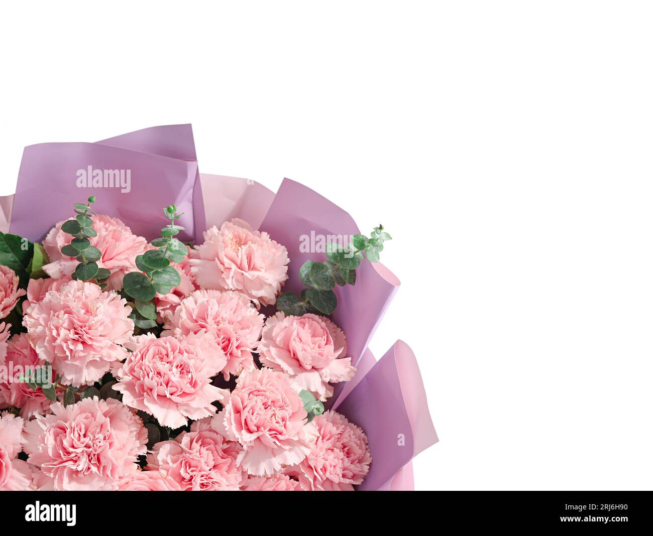 A vibrant bouquet of pink and white carnations and roses arranged ...