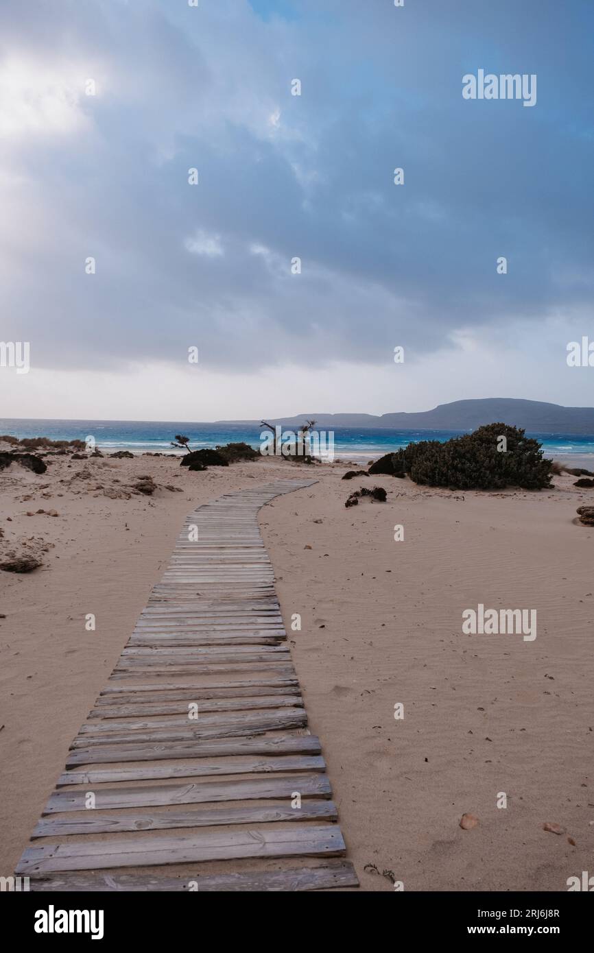 Ladder in the sand on a beach with plants and ocean view, cloudy rainy ...