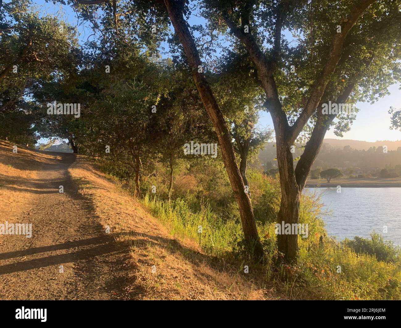 A dirt path leading up a grassy slope to a body of water Stock Photo ...