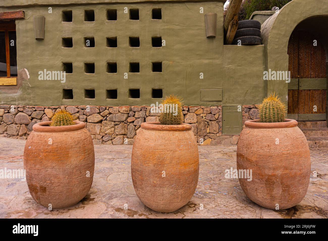 Cacti in pots large hi-res stock photography and images - Alamy