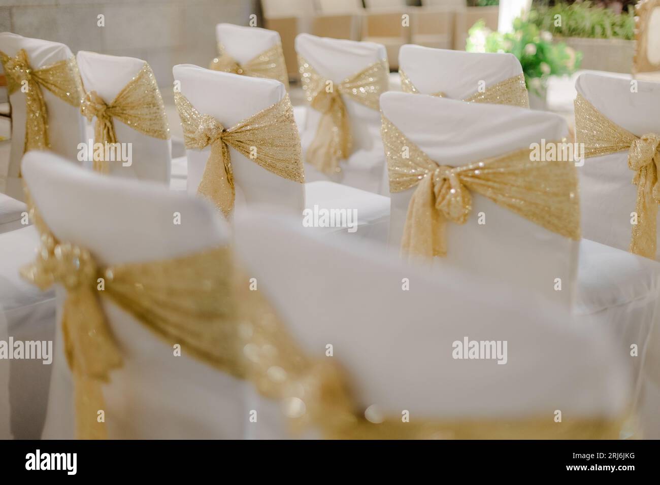 A closeup of a set of gold glitter sashes draped over white chairs at a ...