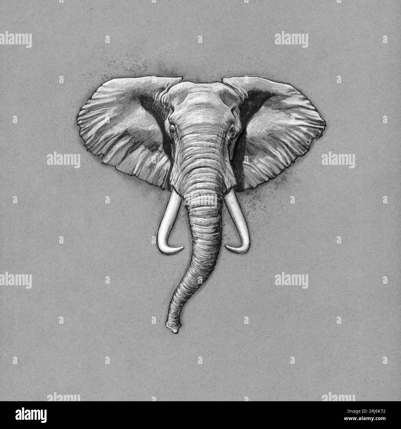 Elephant Face Pencil Drawing