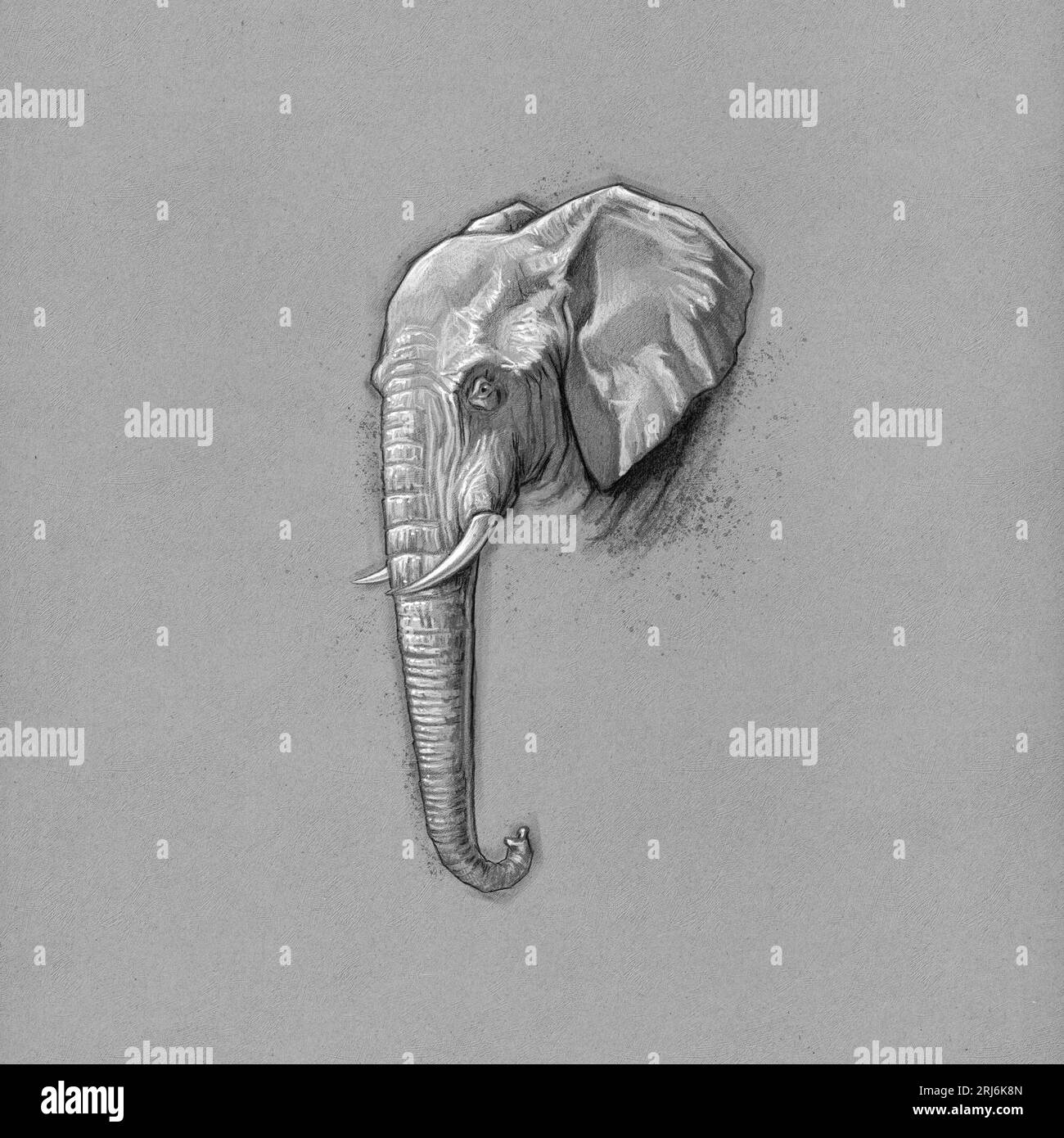 Elephant drawing hi-res stock photography and images - Alamy