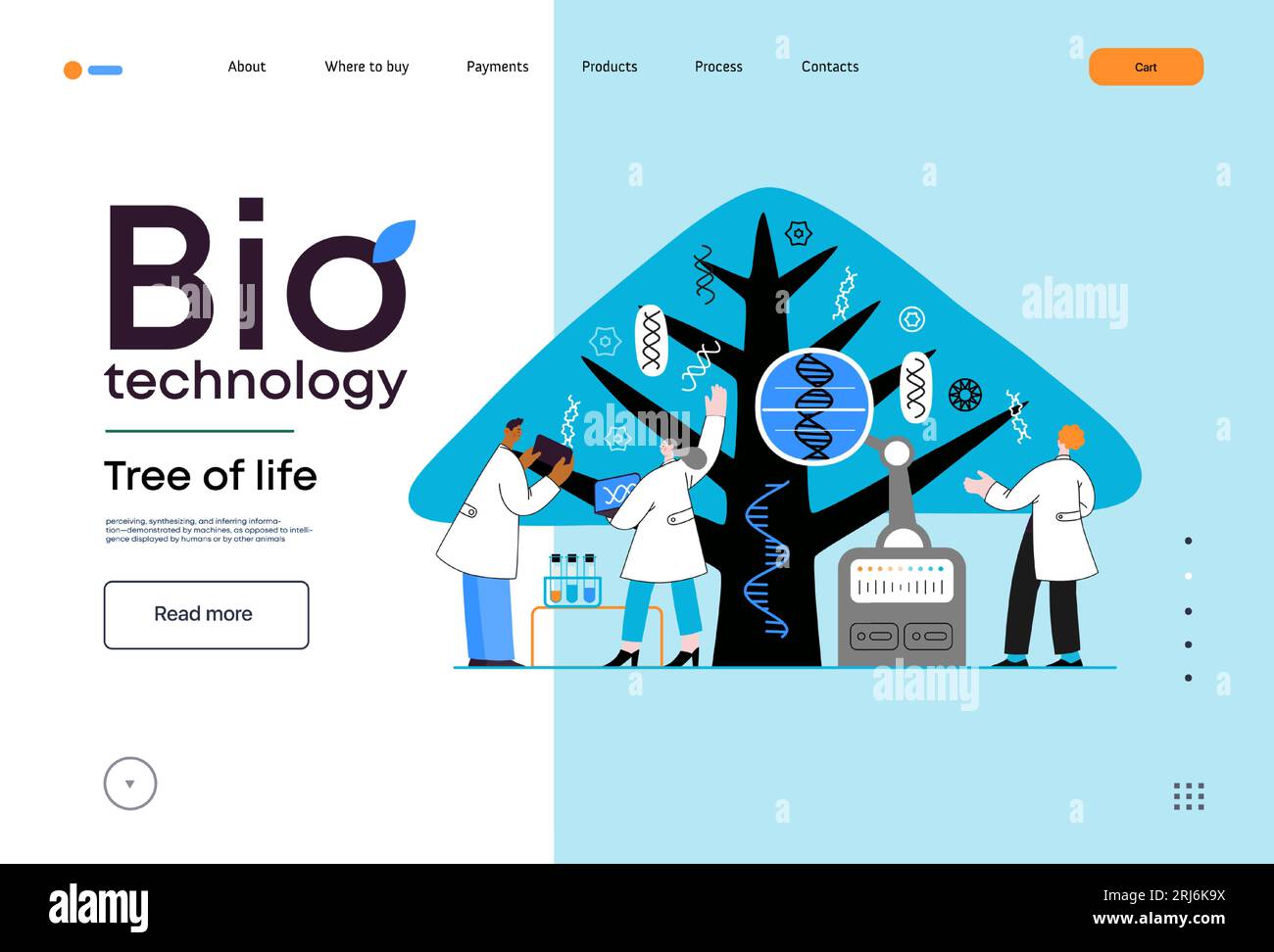 Branches represent Stock Vector Images - Alamy