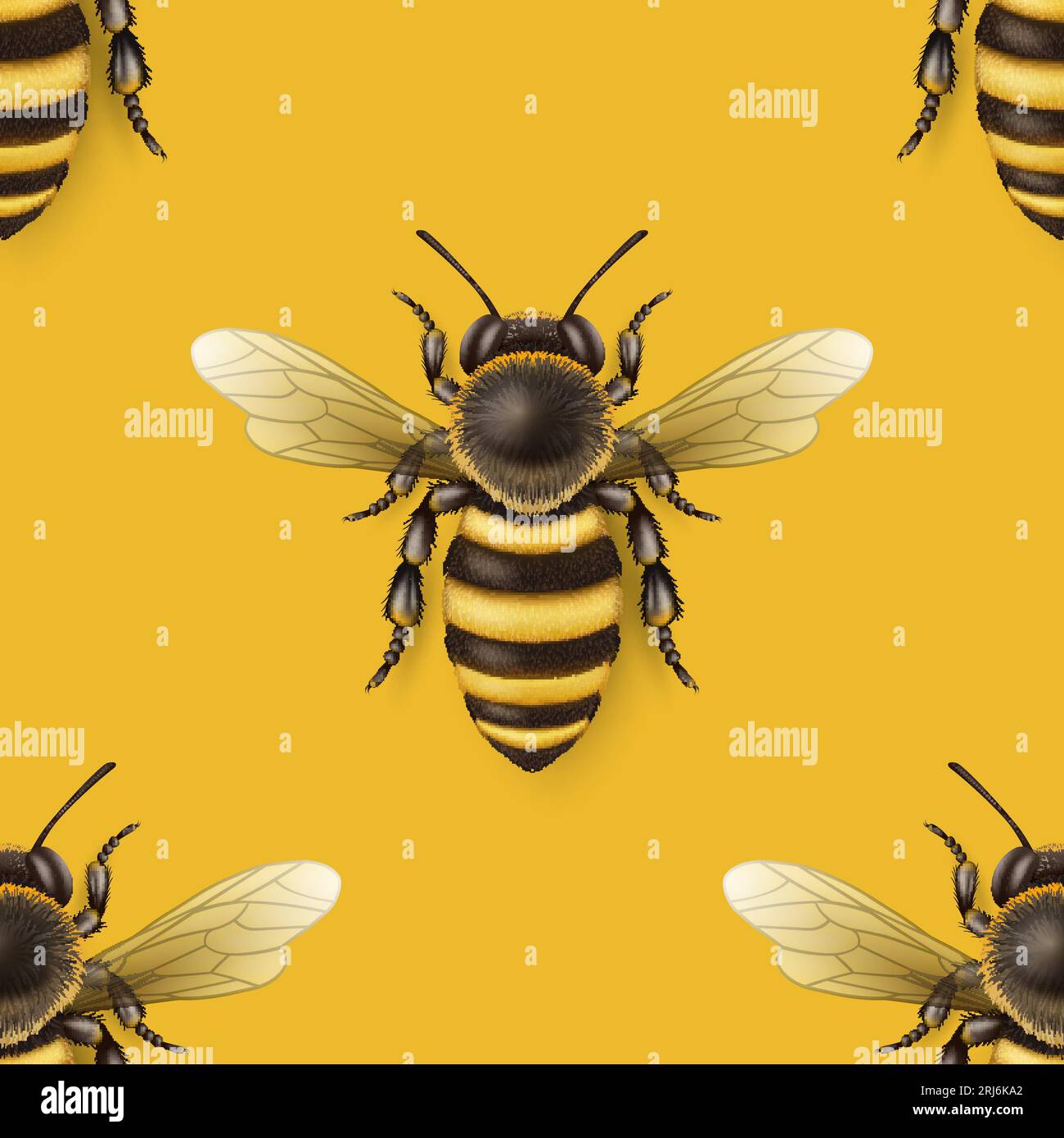 Vector Seamless Pattern with 3d Realistic Detailed Honey Bee Icon ...
