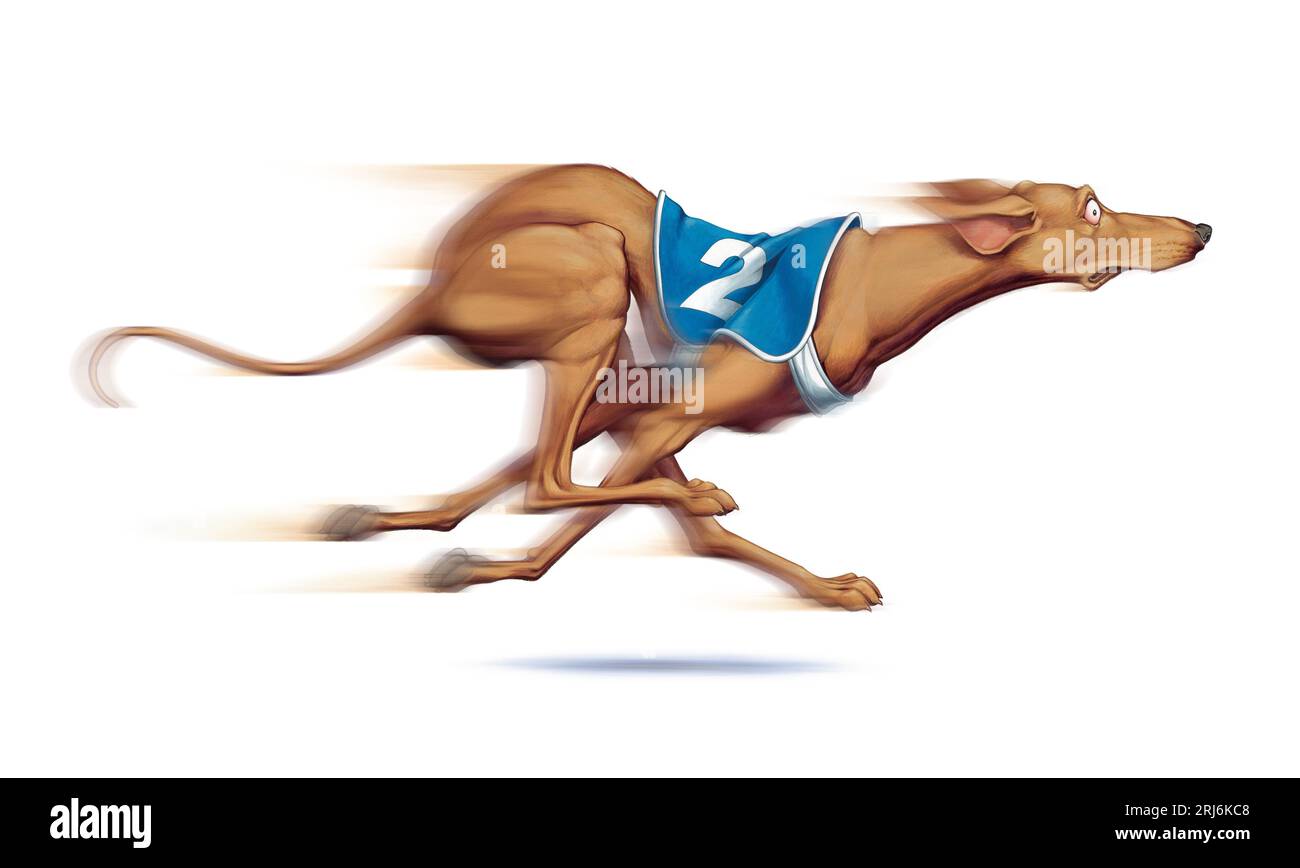 Illustration of a Running Greyhound Stock Photo - Alamy