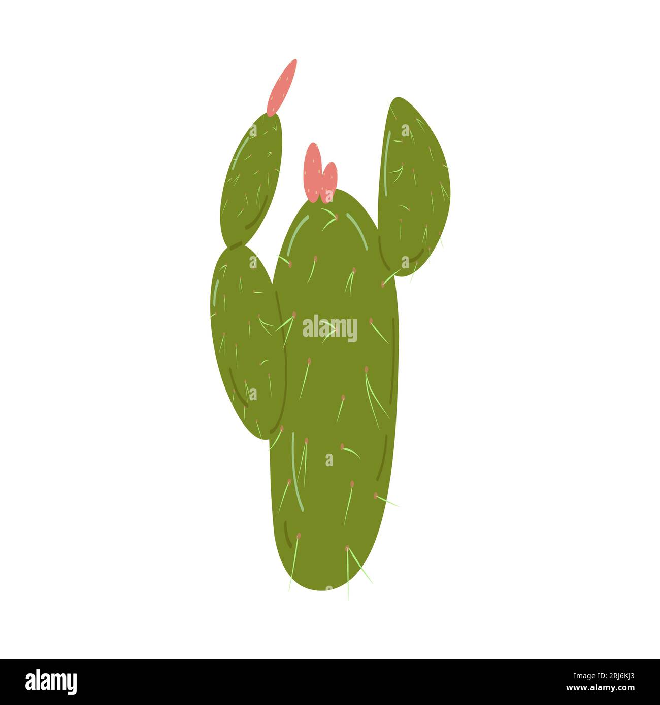 American rodeo season. Wild West. Green cactus. Flyer and poster design ...