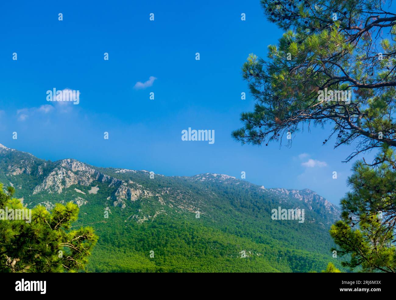 Majestic view lush green hi-res stock photography and images - Alamy