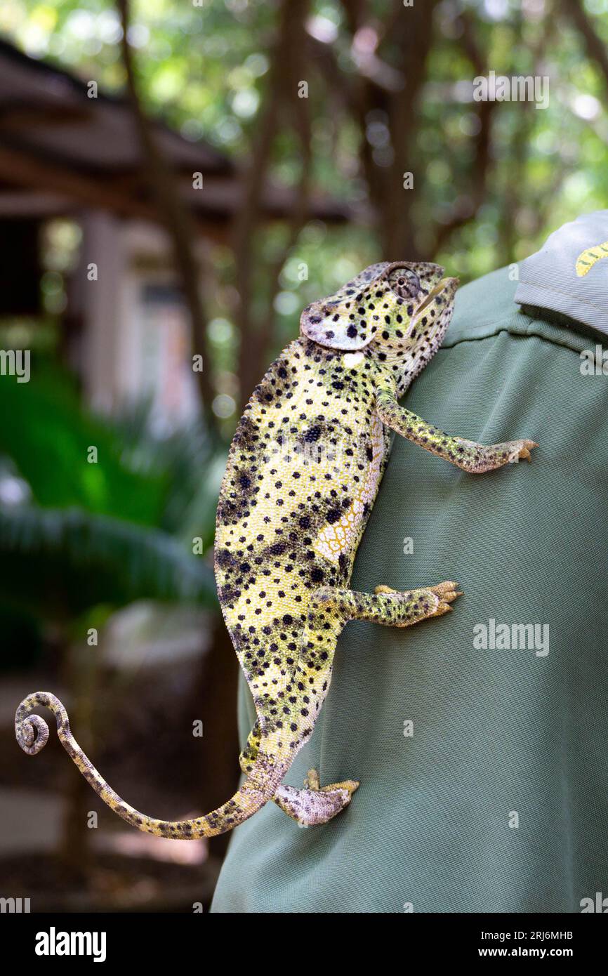 Nils rek hi-res stock photography and images - Alamy