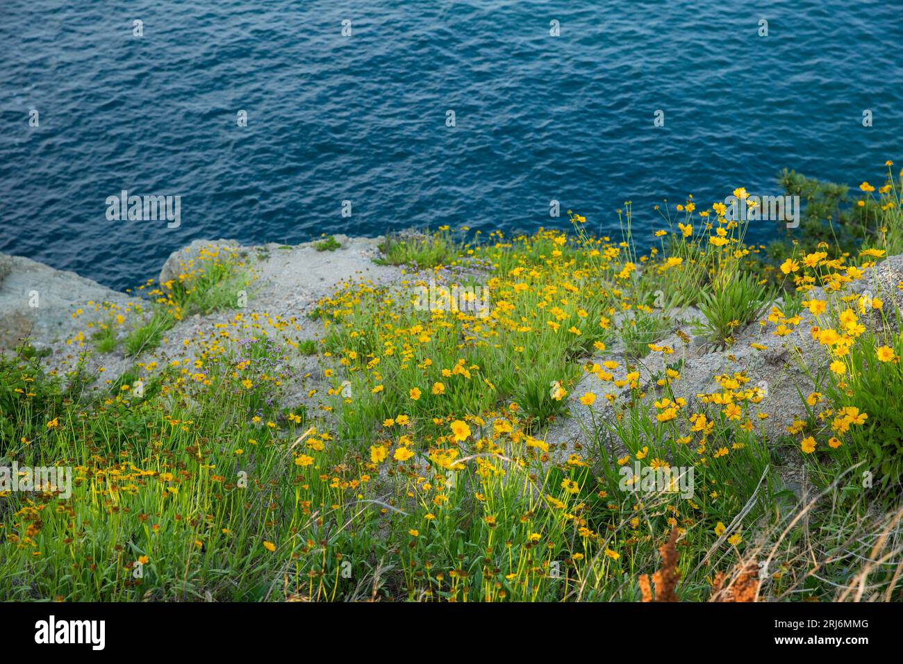 A stunning beachscape of Dalian, China featuring a crystalline blue ...