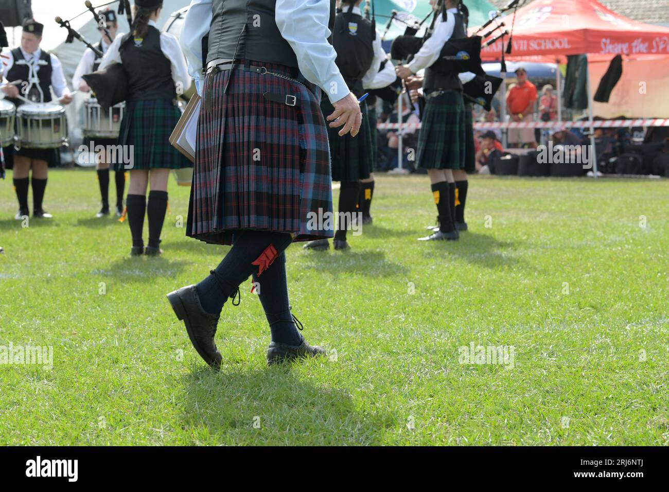 Rear view, adult man wearing tartan kilt at Scottish music competition ...