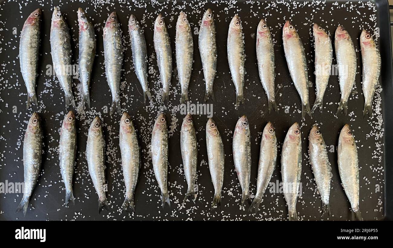 A tray of freshly-prepared fish fillets, ready to be cooked Stock Photo ...
