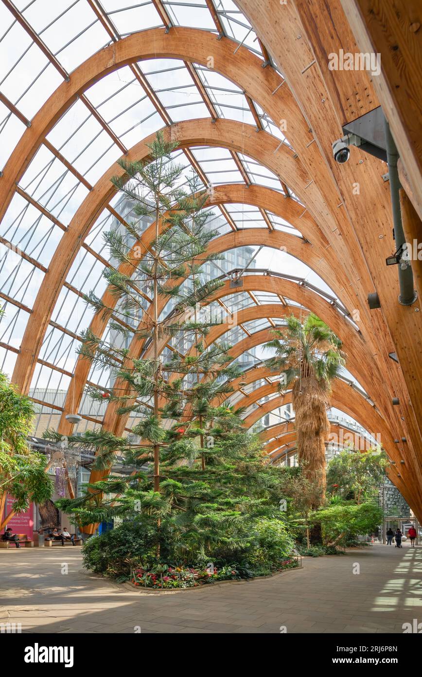 Sheffield, England - Sheffield Winter garden by Pringle Richard ...
