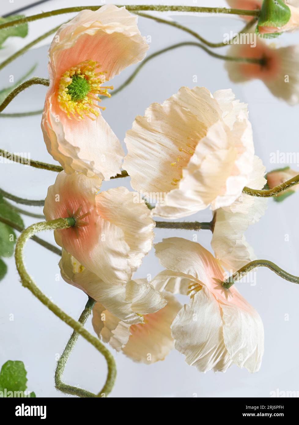 An image of several vibrant flowers situated atop a reflective surface ...