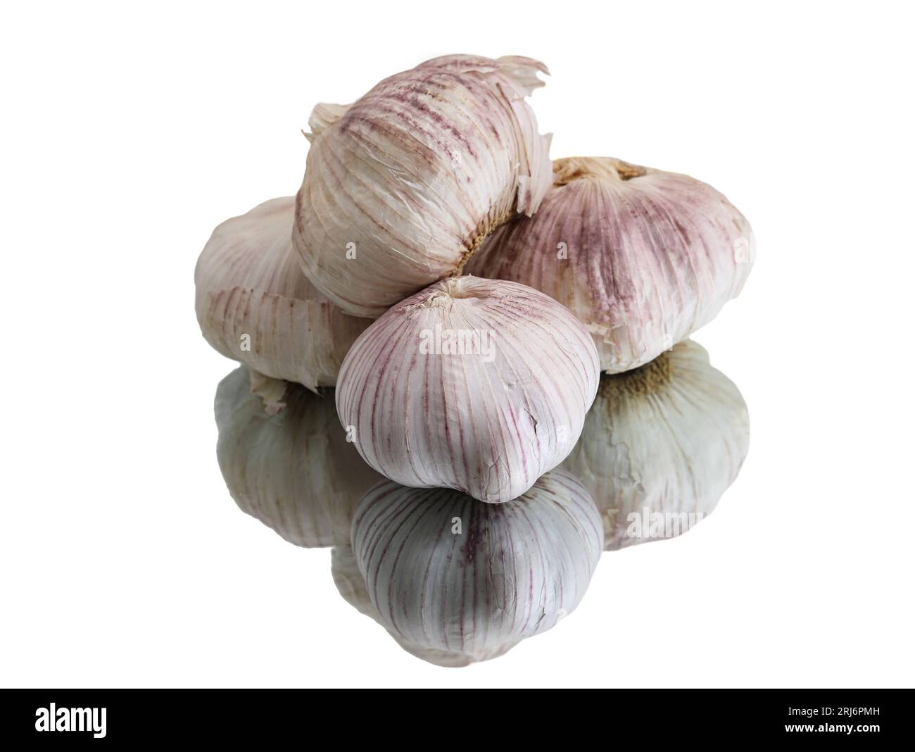 Four heads of fresh garlic placed atop a reflective surface ...