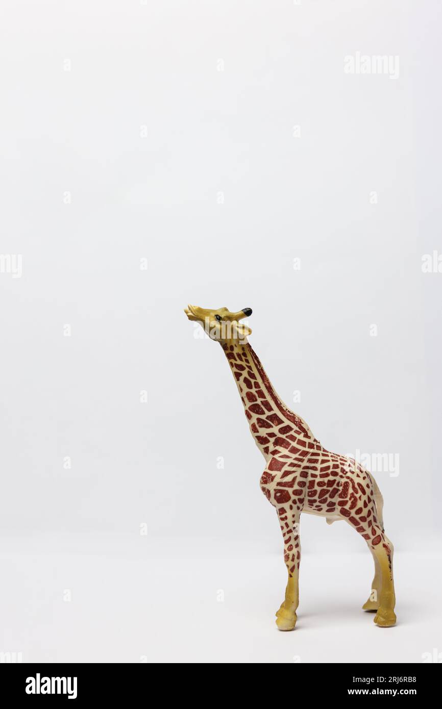 Statue of giraffe hi-res stock photography and images - Alamy