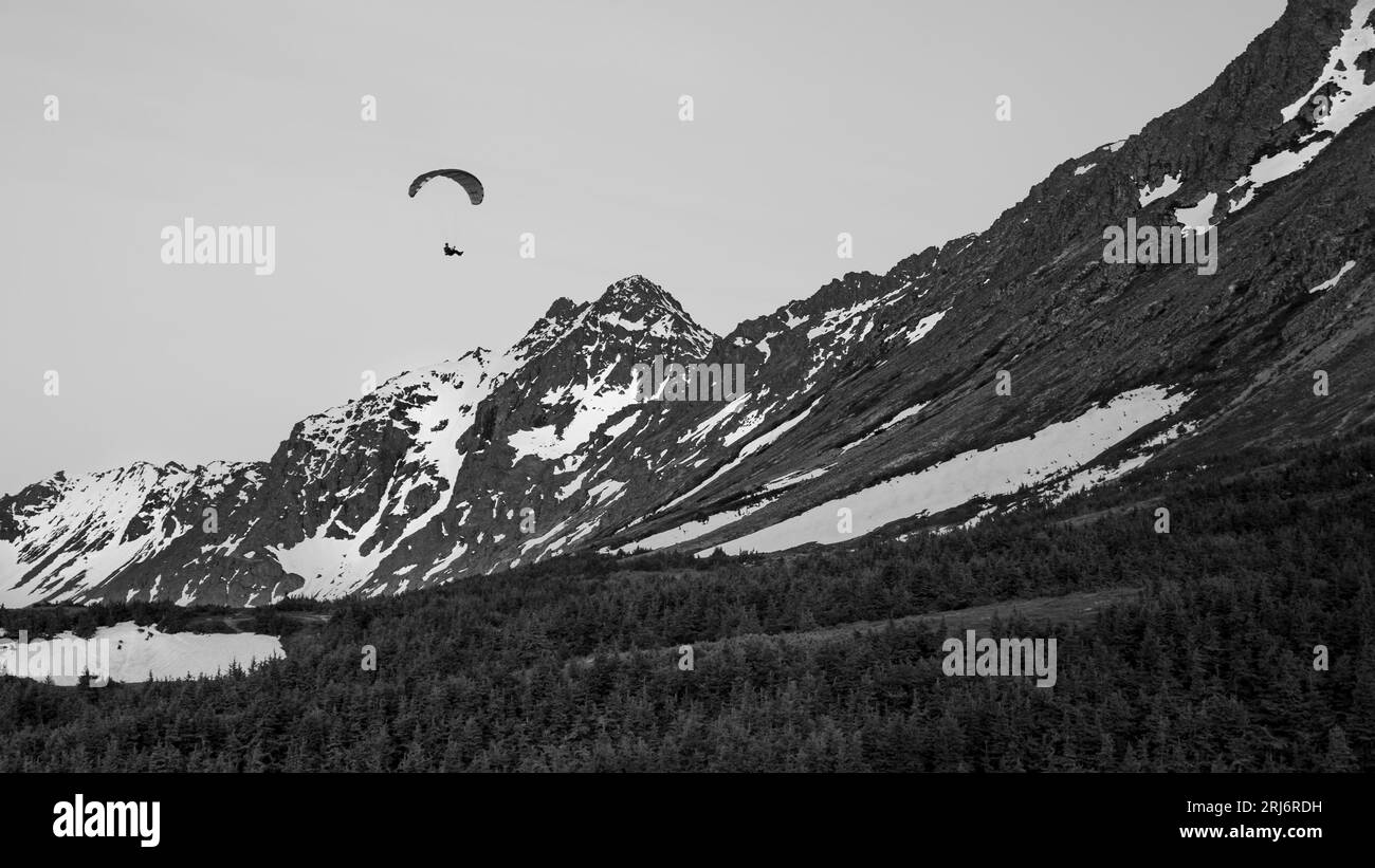 A grayscale of a man paragliding, his parachute billowing in the wind ...